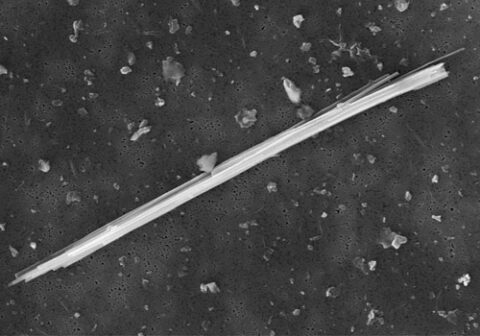 Asbestanalytik | Wartig Nord