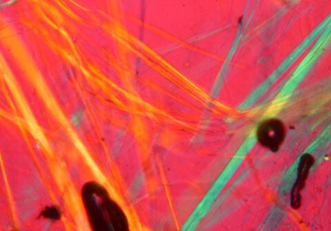 Asbestanalytik | Wartig Nord