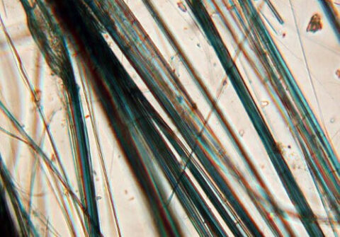 Asbestanalytik | Wartig Nord