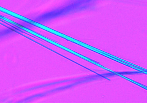 Asbestanalytik | Wartig Nord