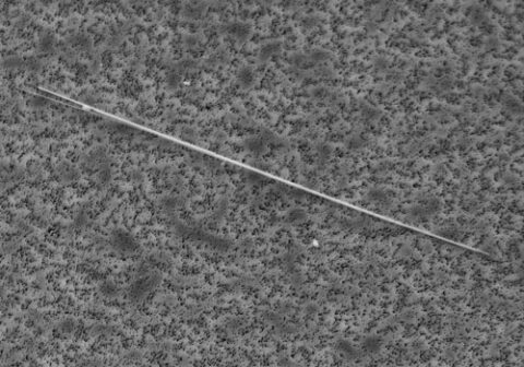 Asbestanalytik | Wartig Nord