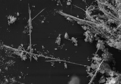 Asbestanalytik | Wartig Nord